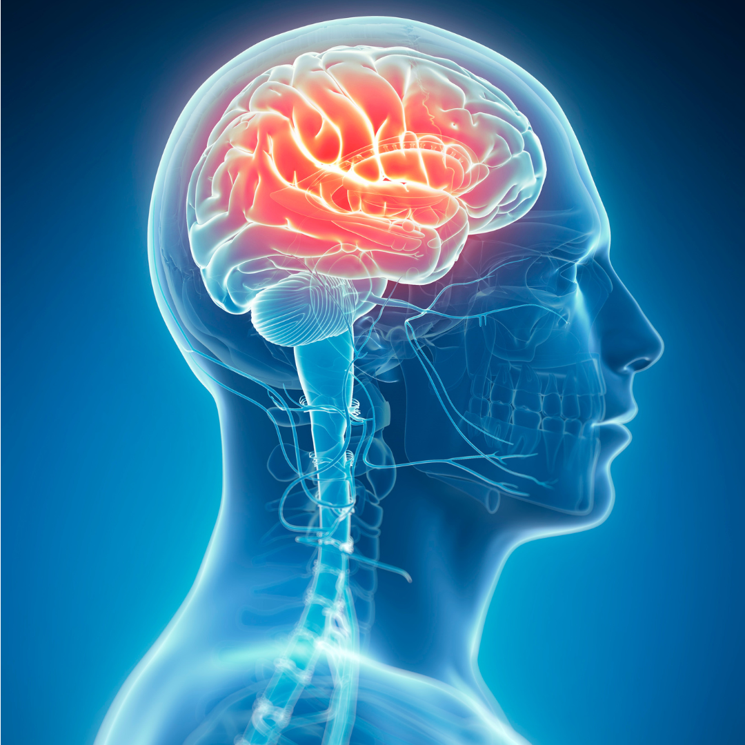 Neurology - Pulse Hospital